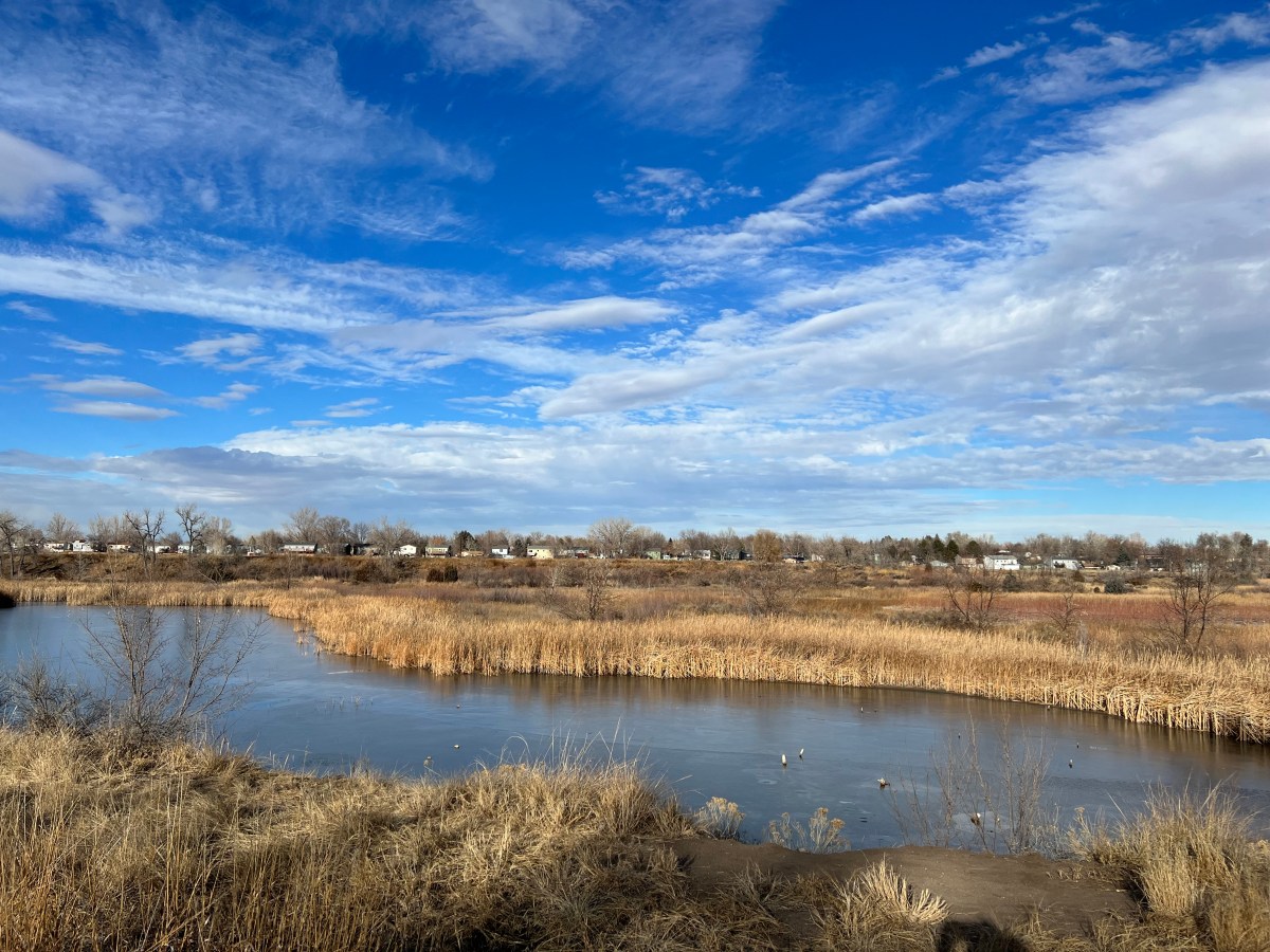 2023 Winter Solstice – Diverse Fort Collins